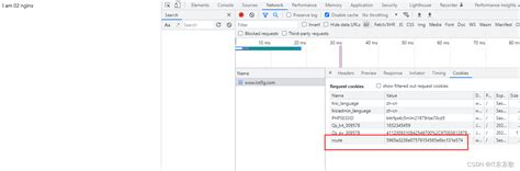 Nginx搭载sticky模块保持回话nginx Sticky Csdn博客