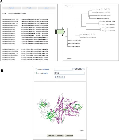 The Sequence And Structure Analysis Tools Showing A Analysis Results Download Scientific