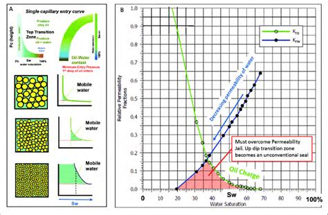 A Idealized Portrayal Of Capillary Height Functions And Water Download Scientific Diagram