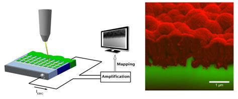 Left Scheme Of A Cross Sectional Ebic Measurement Of A Sinw Based Sis Download Scientific