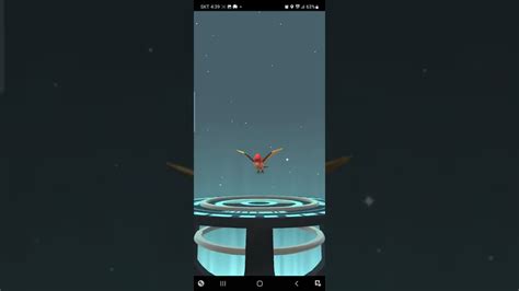 내가 재일로다가 좋아하는 포켓몬이 이로치로 나왔다 ㅜㅜ 진화 시켜줄게~~ㅜㅜ Youtube