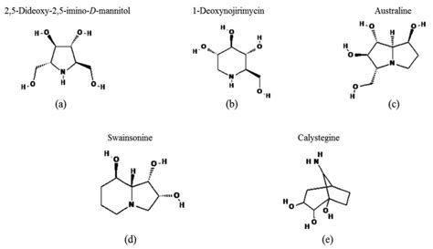 Examples O Polyhydroxy Alkaloid Compounds Based On Their Group A
