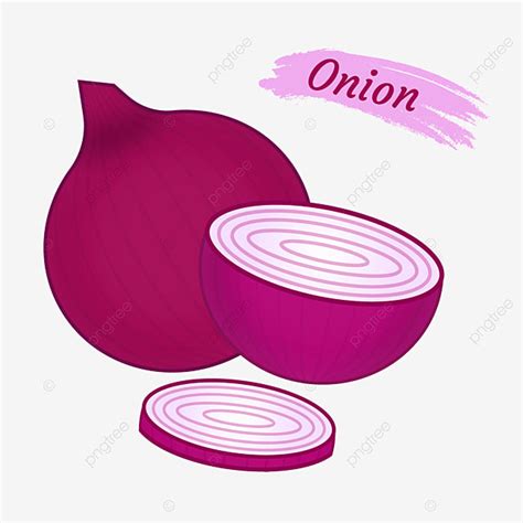 양파 벡터 일러스트 레이 션 양파 야채 양파 슬라이스 Png 일러스트 및 벡터 에 대한 무료 다운로드 Pngtree
