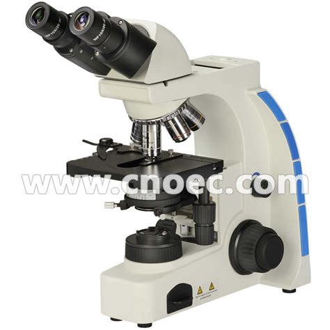 40x 100x Learning Compound Optical Microscope Halogen Illumination