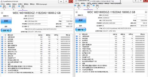 Manual Raid 1 Using Two 18tb Usb External Hard Drive Hdd Algorithms