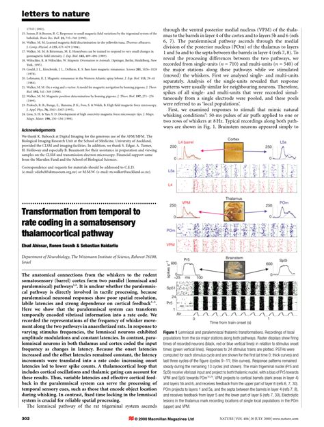 PDF Transformation From Temporal To Rate Coding In A Somatosensory Thalamocortical Pathway