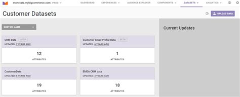 Customer Dataset Details Page Monetate Kb