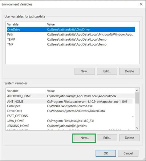 Setting Apache Ant Environment Variables Provar