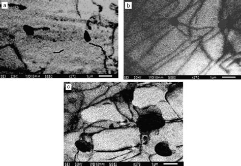 Scanning Electron Micrographs Showing Dislocation Arrangement In A 4