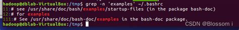 大数据技术原理及应用课实验1 熟悉常用的linux操作和hadoop操作 大数据熟悉常用的linux操作和hadoop操作 csdn博客