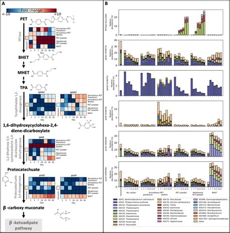 Abundance Of Pet Degradation Pathway Genes In Picrust2 Assembled Download Scientific Diagram