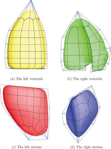Full Article Simultaneous Segmentation Of All Four Chambers In Cardiac