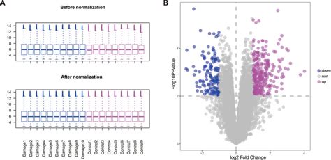 The Boxplot And Volcano Plot For Genes A The Boxplot For Samples