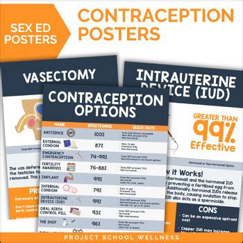Birth Control Posters For Sex Ed Sex Ed And Human Development TPT