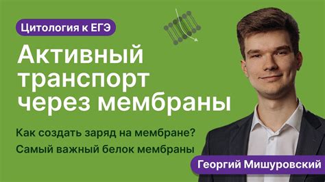 2 30 Активный транспорт через мембраны Цитология к ЕГЭ Георгий Мишуровский Youtube