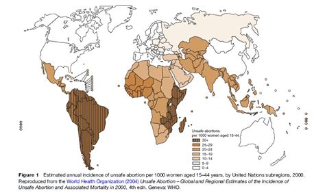 Reproductive Ethics Research Paper Iresearchnet