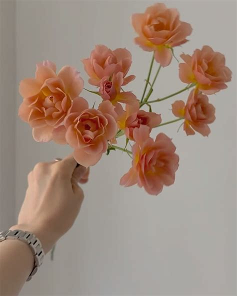 슈플레르 플라워스튜디오 ㅣ 강남꽃집•서초동꽃집•양재역꽃집•플라워레슨•플라워클래스•플로리스트학원•웨딩부케ㅣ 🌿 슈플레르 플라워스튜디오 우리 수강생이 항마력 딸려 했지만