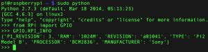 RPI GPIO New Feature GPIO RPI INFO Replaces GPIO RPI REVISION RasPi TV