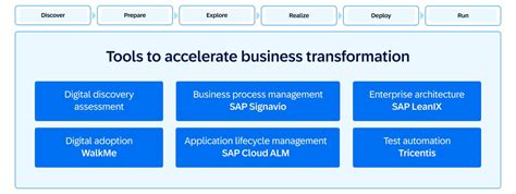 Sap Cloud Erp Private What You Should Know About The Rise With Sap Rebrand