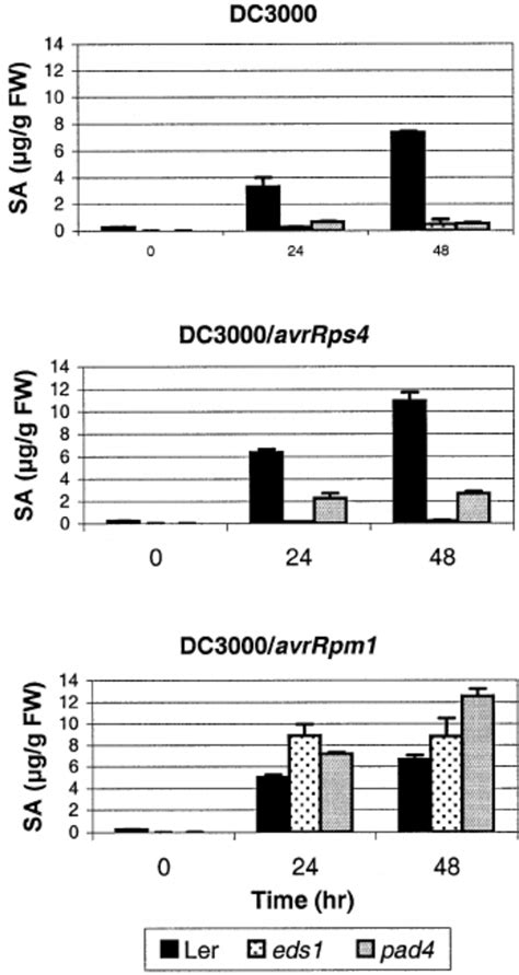 Accumulation Of Total Salicylic Acid In Ler Eds1 2 And Pad4 2 Plants