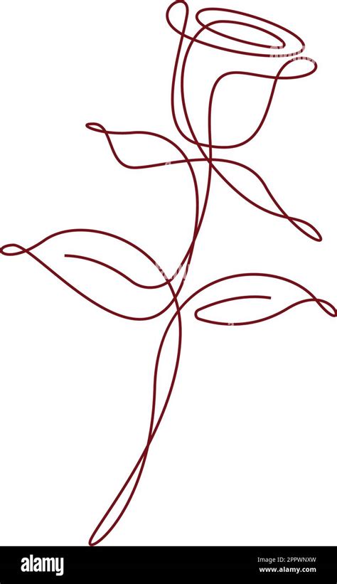 Red Rose Line Art Design Illustration Stock Vector Image And Art Alamy