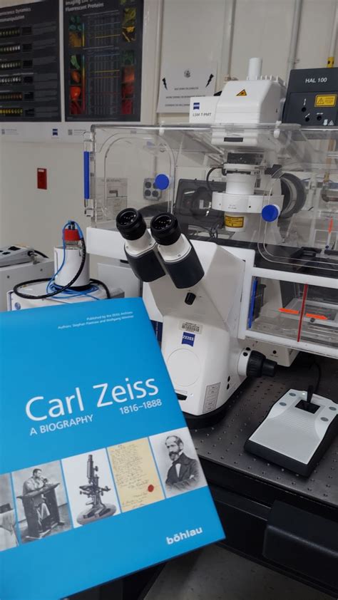 Fernanda Laezza Posted On Linkedin