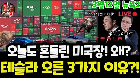 미국주식시황왜 오늘도 흔들렸나 테슬라 오른 3가지 이유엔비디아 구글 애플 아마존 메타 마이크로소프트 리비안 소파이 팔란티어 아이온큐 Smci등 Tsla Tesla