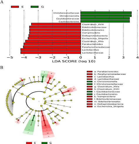 Linear Discriminant Analysis Lda Combined Effect Size Measurements Download Scientific