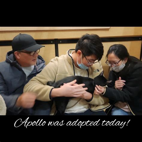 Ryan Grew Up With A Dog Who Passed Away About Two Years Ago He Wanted