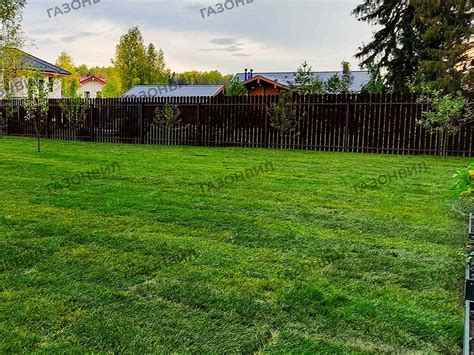 Универсальный газон купить в Москве по цене за м2