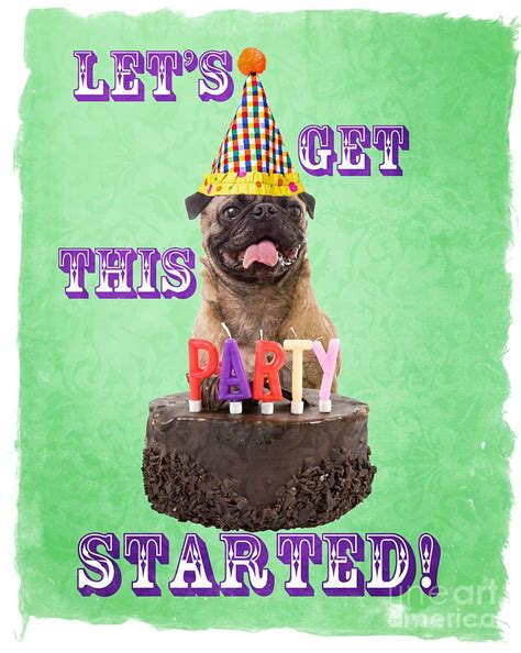 Let S Get This Party Started Photograph By Edward Fielding