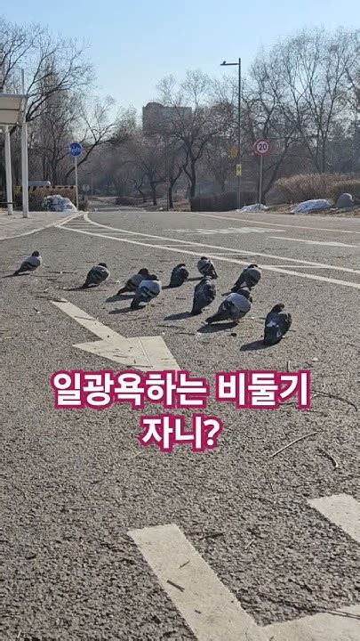 따뜻한 햇살에 꾸벅꾸벅 뚜벅이 Youtube