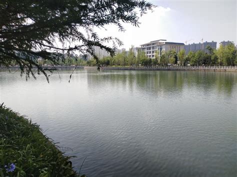 共建地球生命共同体是一个倡议，旨在通过全球合作，促进人类与自然的和谐共生。该倡议认为，地球上的一切生命都是互相依存的，只有通过共建地球生命共同