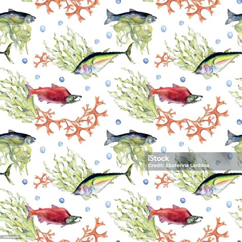 다양한 야생 바다 물고기 원활한 패턴 수채화 그림은 흰색으로 분리되어 있습니다 해초 참치 연어 코호 바다 식물이 손으로 그렸습니다 섬유 포장 종이 포장 배너를 위한 디자인