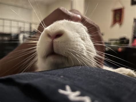 Mouf R Mouf