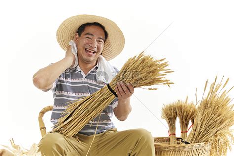 勤劳的农民手拿小麦形象高清图片下载 正版图片502475316 摄图网