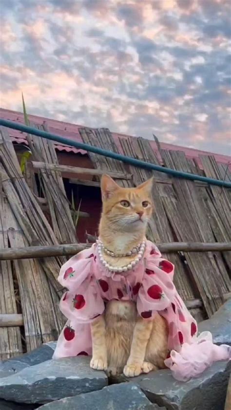 С днём рождения Поздравление с днем рождения