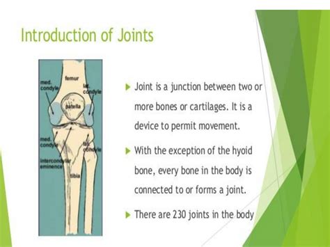 SOLUTION Anatomy Joints Classification Structure 6 Studypool
