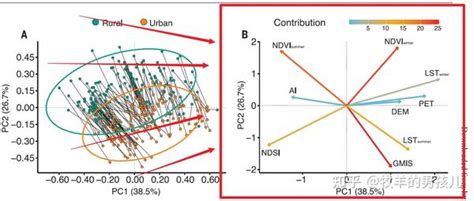 跟着science学作图：r语言ggplot2画箭头展示变量对主成分的贡献 知乎
