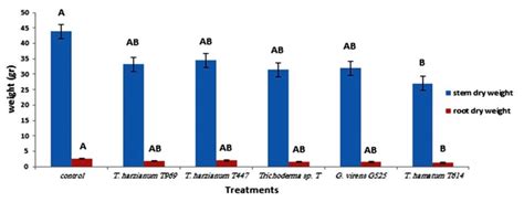 Effect Of Trichoderma Isolates On Wheat Stem And Root Dry Weight The