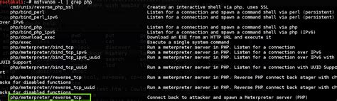 Proj Exploiting PHP Vulnerabilities Pts