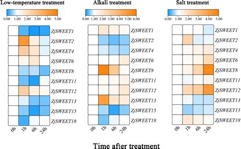 genome wide identification and expression profile analysis of sweet