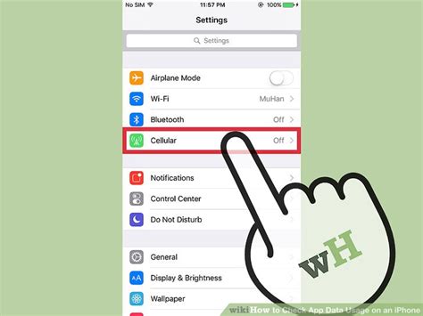 How To Check App Data Usage On An IPhone Steps With Pictures