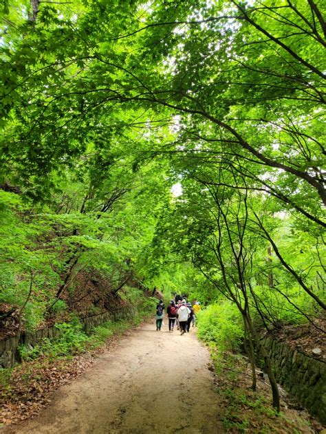 빅토르 위고 명언 네이버 블로그