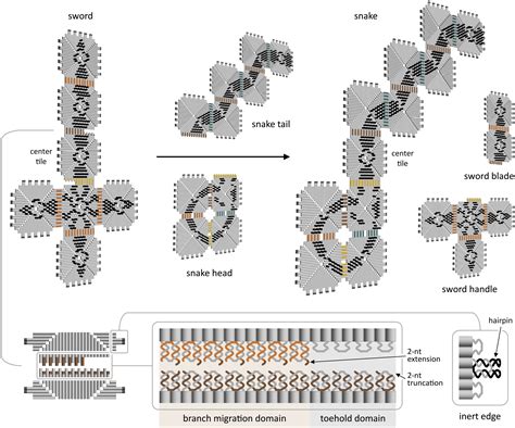 Modular Reconfiguration Of Dna Origami Assemblies Using Tile
