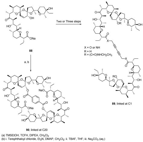 Recent Advances In The Use Of The Dimerization Strategy As A Means To Increase The Biological