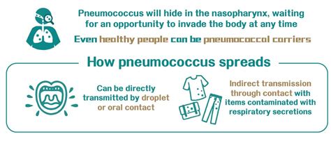 Pneumococcal Vaccination Medtimes Medical Group