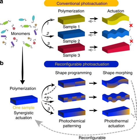 Actuator Concept A Conventional Stimuli Responsive Actuators Require A Download Scientific