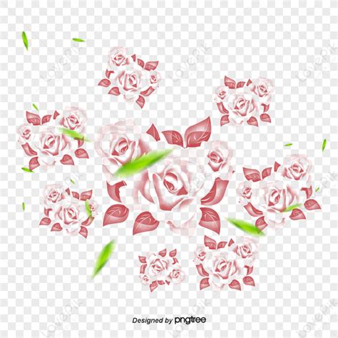 벡터 붉은 장미 일러스트 꽃다발 도안엽서포도 수확 Png 일러스트 무료 다운로드 Lovepik