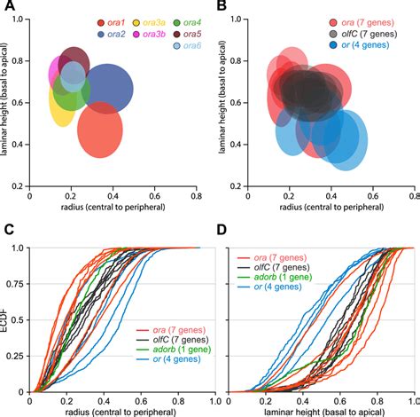 multidimensional analysis of spatial expression patterns shows